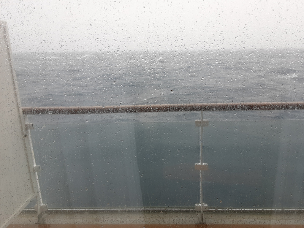 December 21, 2021 – 4th Sea Day – Elsie's Travel Blog